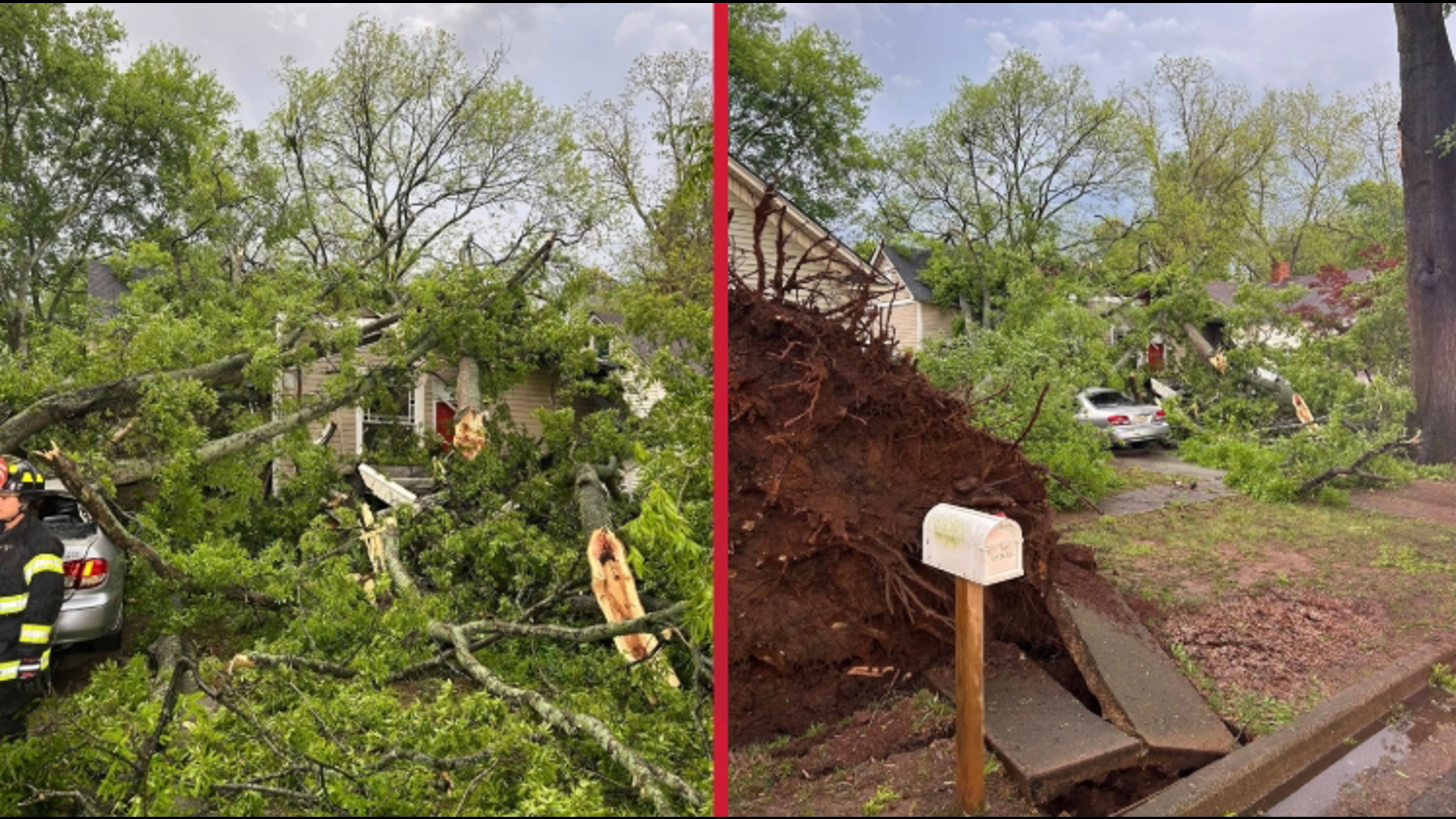 Fallen tree damages duplex on 5th Ave Southwest, no injuries ...