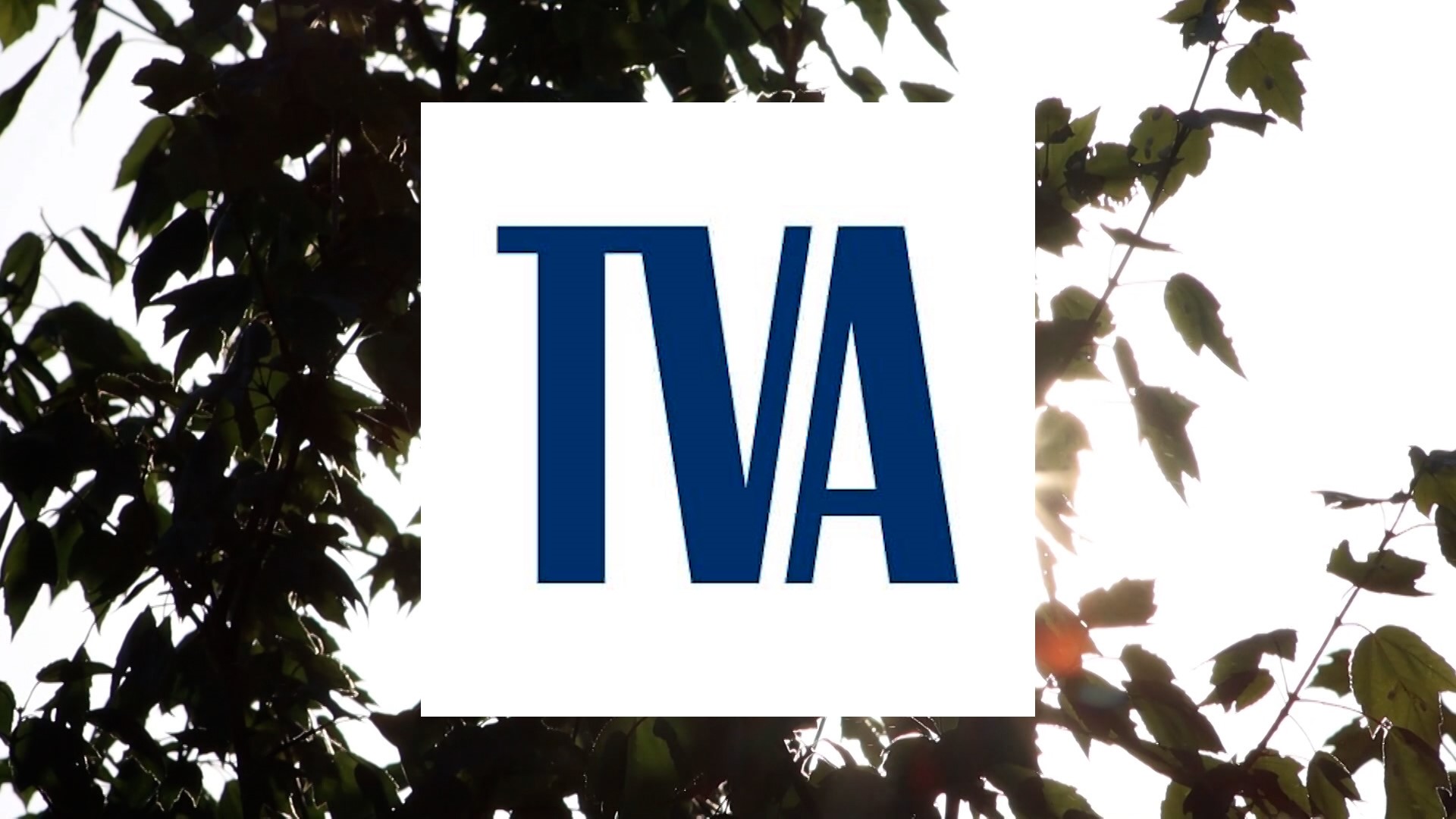 TVA to restore towers near Browns Ferry: 20-month project ...