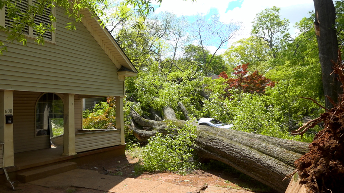Fallen tree damages duplex on 5th Ave Southwest, no injuries ...