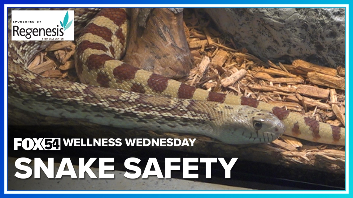 Wellness Wednesday: Snake Safety | rocketcitynow.com