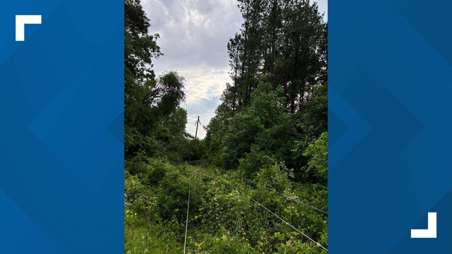 UPDATE: Fewer than 10 Joe Wheeler EMC customers remain without power ...
