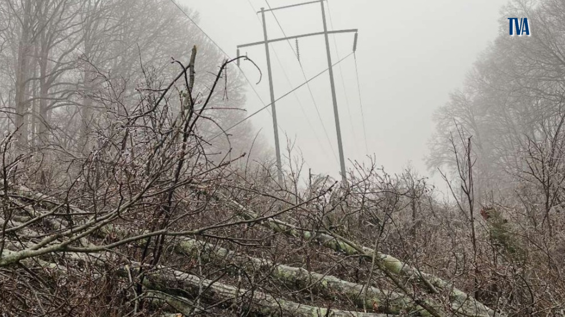 3-year-old found safe after search in Grant | rocketcitynow.com