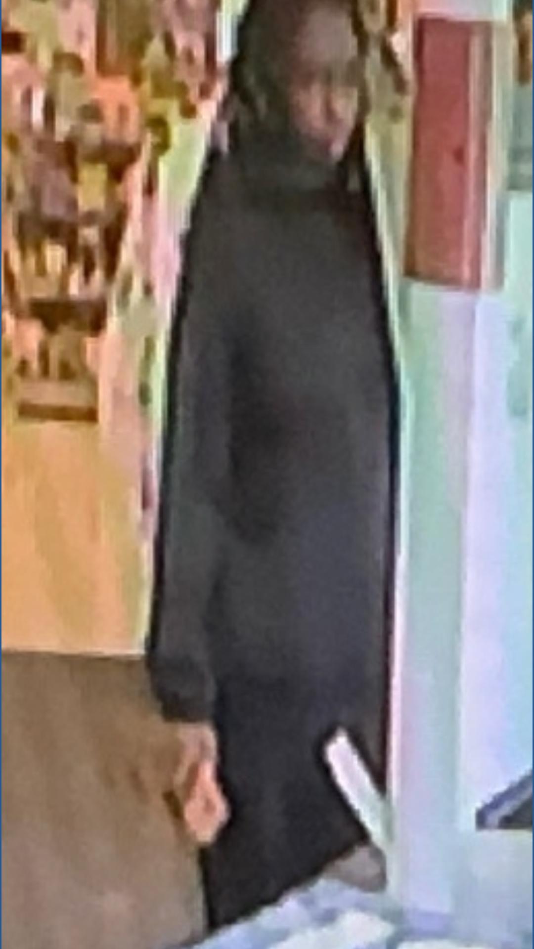 Decatur police seek help ID'ing theft case suspect; photo released ...