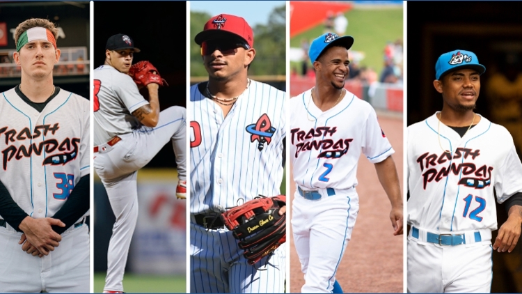Trash Pandas players featured on World Baseball Classic teams ...