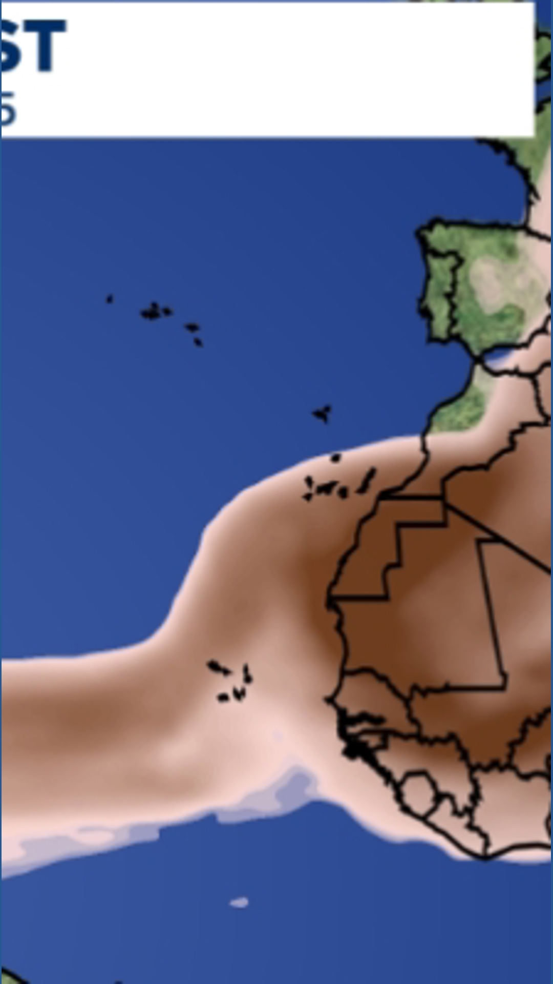 Respiratory risks rise as Saharan dust reaches the US | rocketcitynow.com