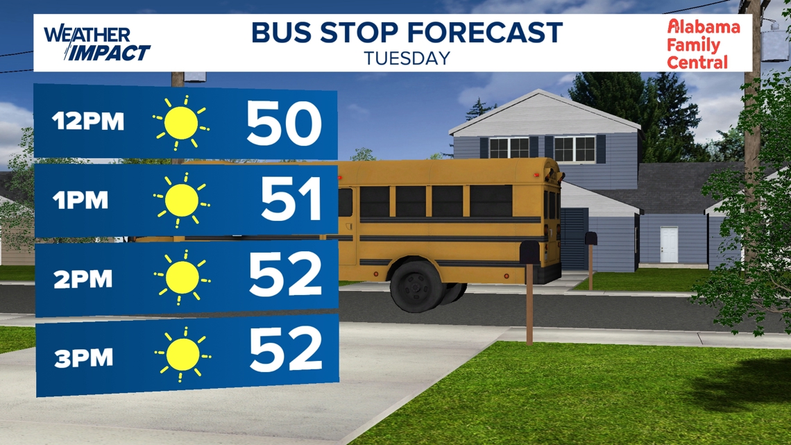 Arizona Cardinals Are Officially In Quiet Tank Mode | rocketcitynow.com