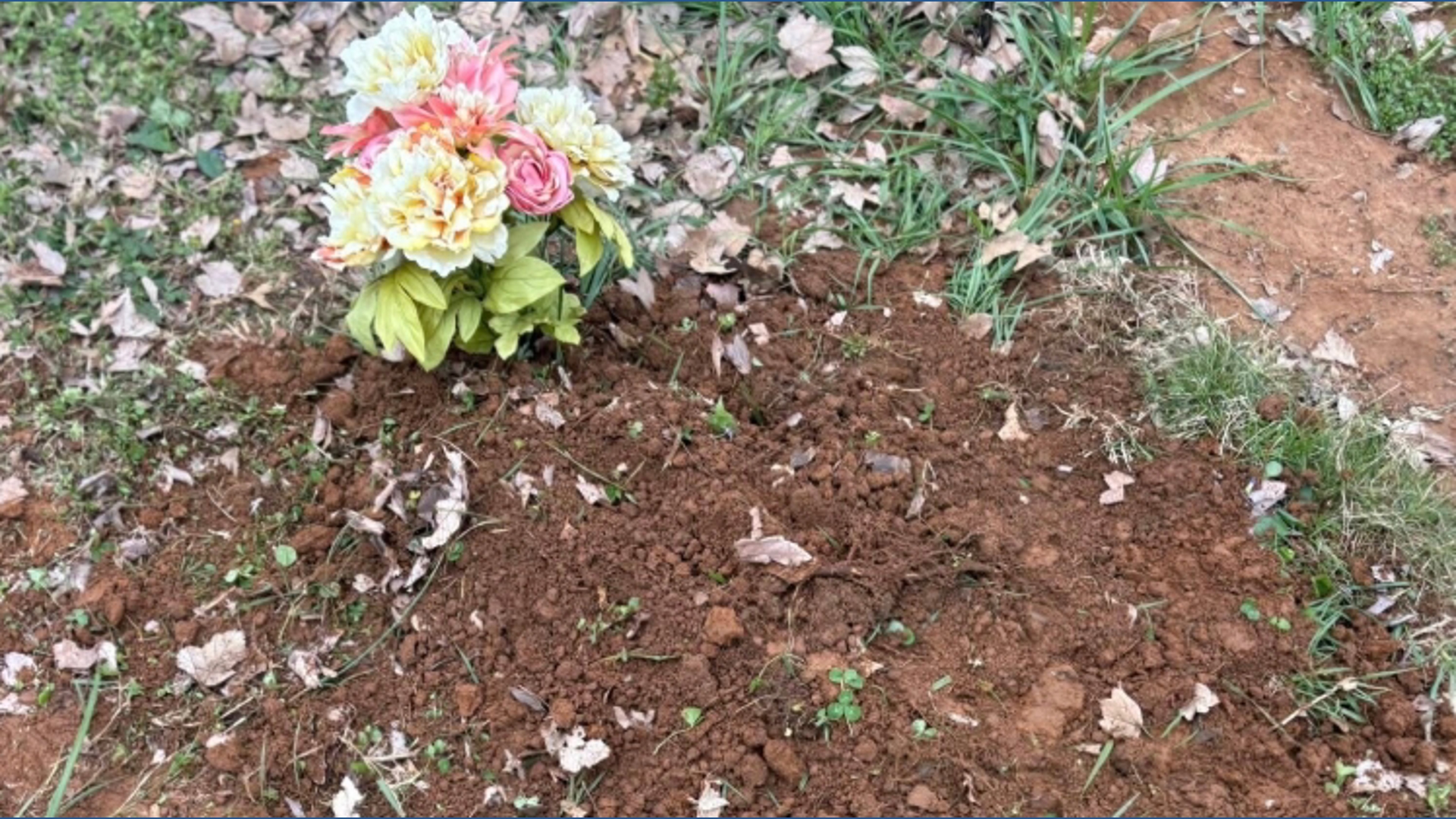Rogersville firefighters assist local woman in laying beloved dog to ...