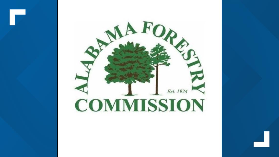 Record 181 wildfires burn 1,700 acres in Alabama amid windy conditions ...