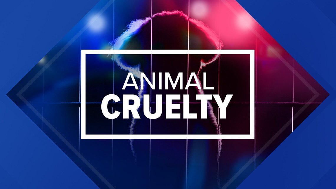 Florence man barred from owning animals for 2 years, receives suspended ...