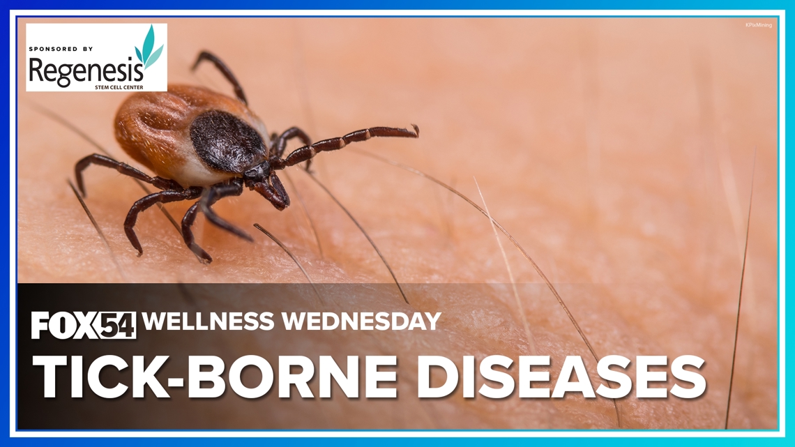 Tick prevention for humans | rocketcitynow.com