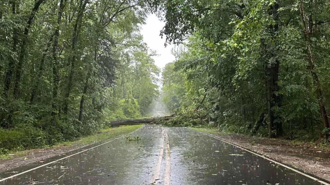 Most Decatur Utilities customers restored after storms | rocketcitynow.com