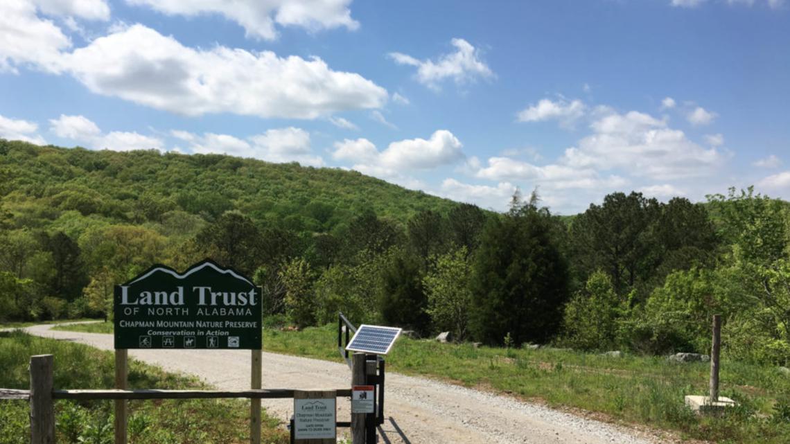 Volunteers needed for Chapman Mountain Weed Wrangle | rocketcitynow.com