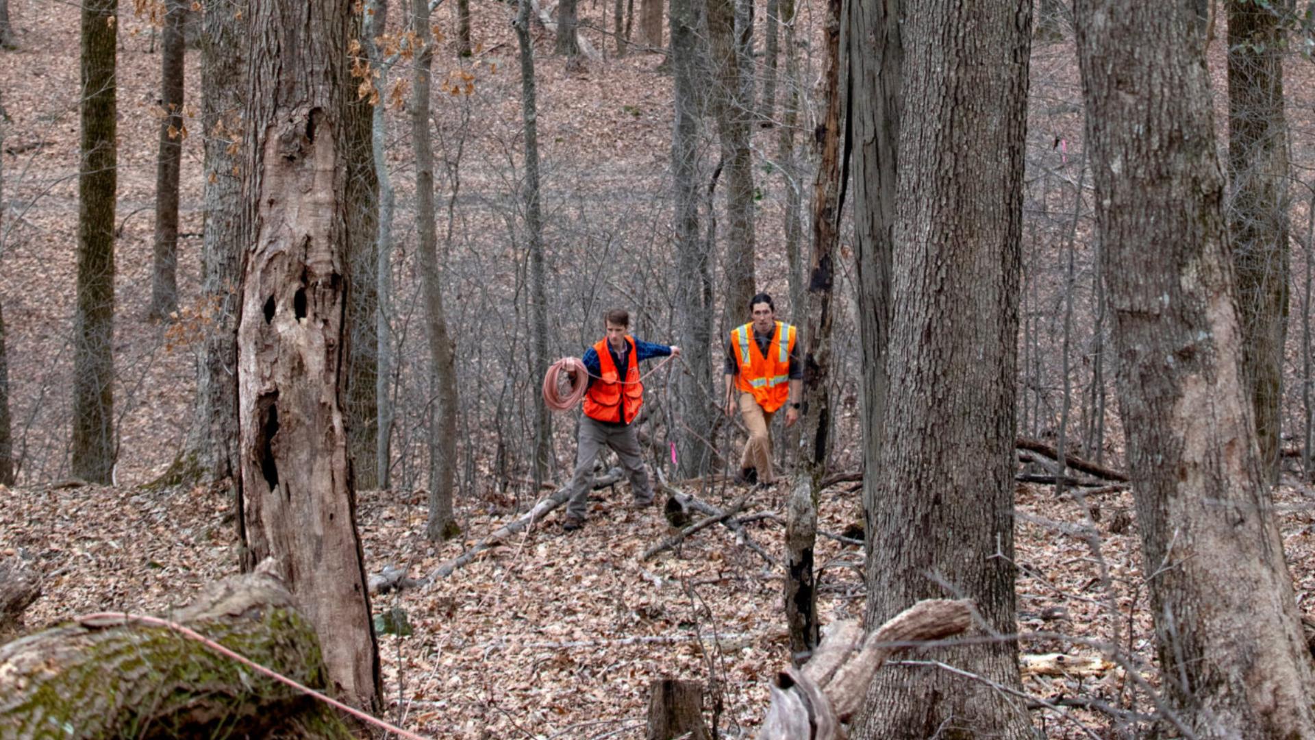 Bill Finch's Alabama forest quest aids future conservation ...