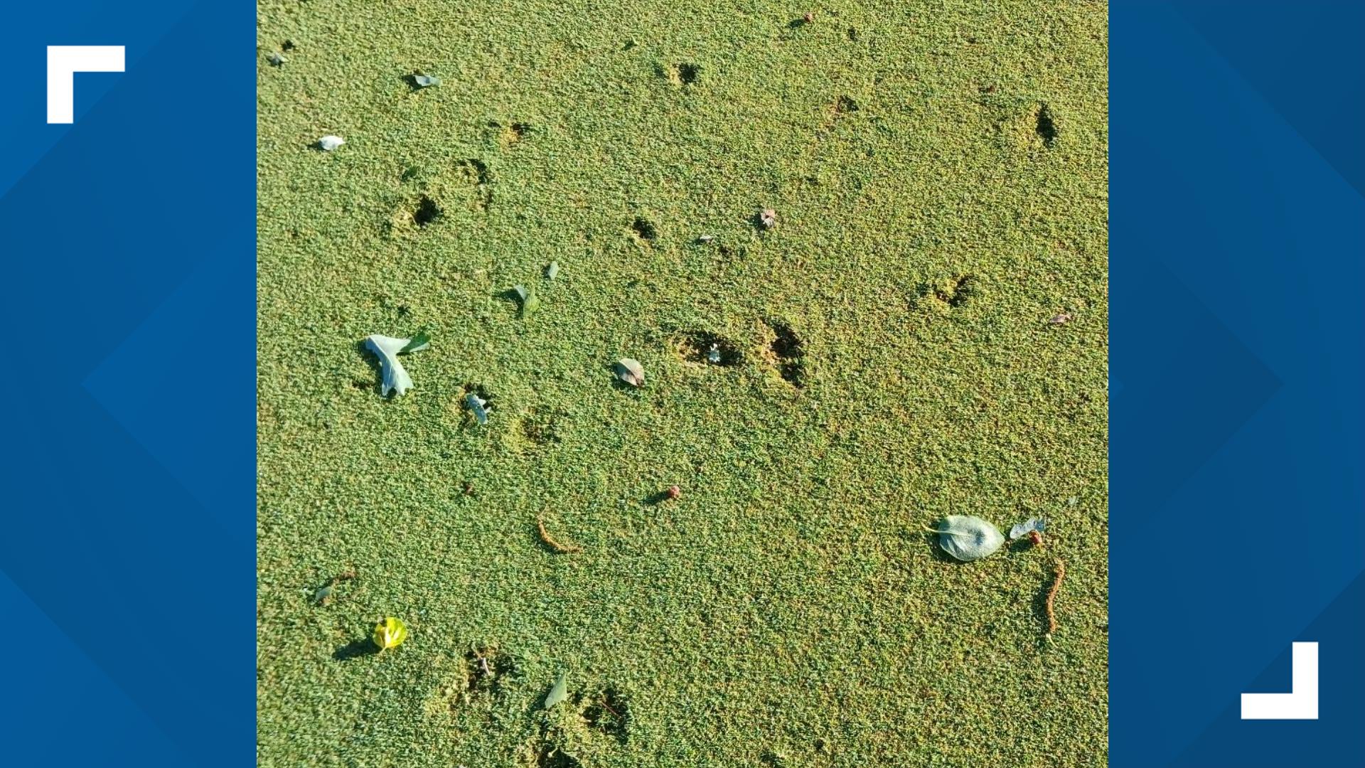 Joe Wheeler golf course reopens after storm | rocketcitynow.com