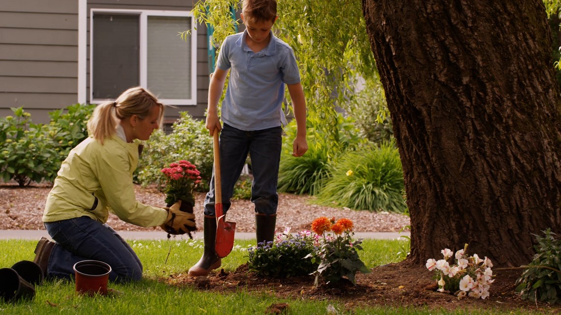 What to know before you "dig" into your summer projects | rocketcitynow.com