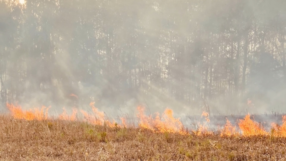 12 Alabama Counties start 5-Month burn ban | rocketcitynow.com