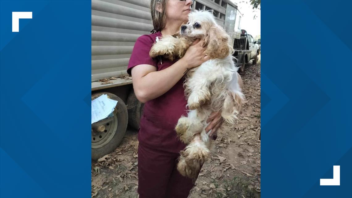 Alabama woman charged with multiple counts of animal cruelty ...