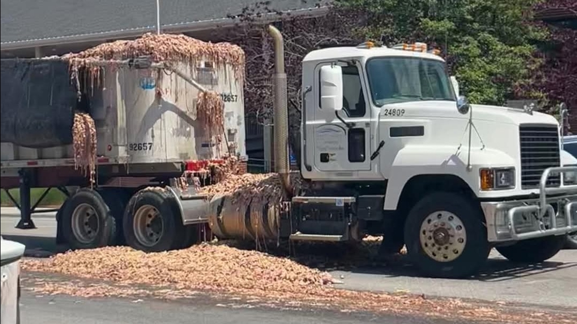 Messy mishap: Truck hauling chicken parts spills load on Guntersville ...