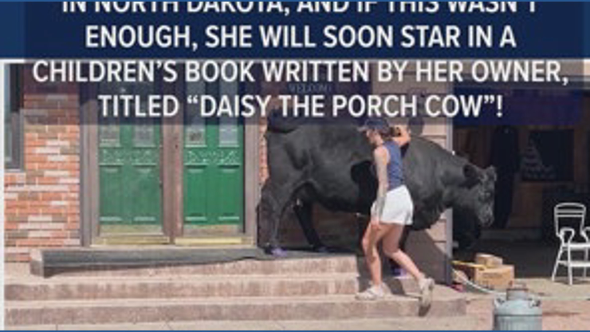 Meet Daisy! She has purple hooves! | rocketcitynow.com