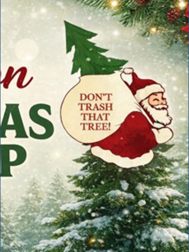 Huntsville, Madison team up for 'Operation Christmas Cleanup' event set ...