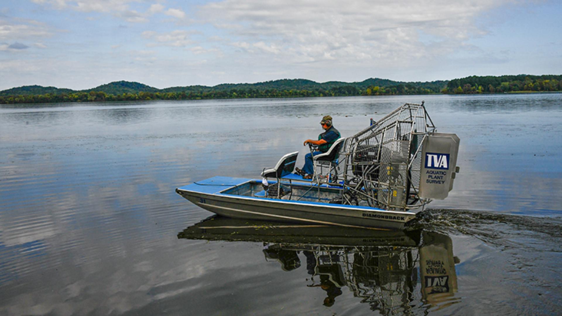 TVA ramps up fight against eelgrass in Lake Guntersville with expanded ...