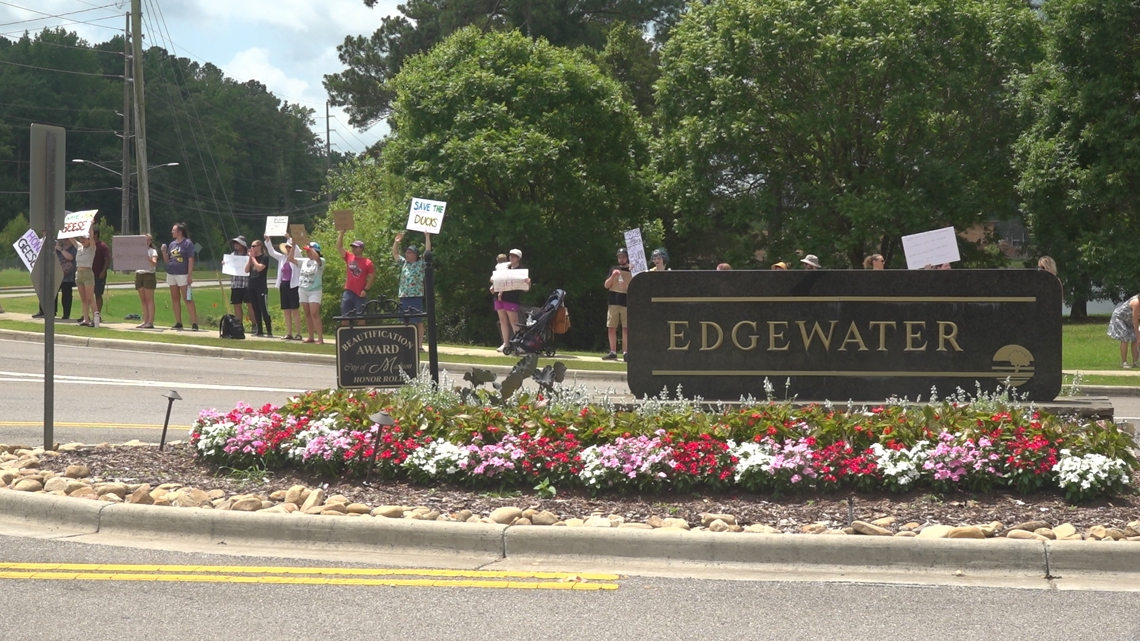 Residents, others demonstrate against potential culling of geese in ...