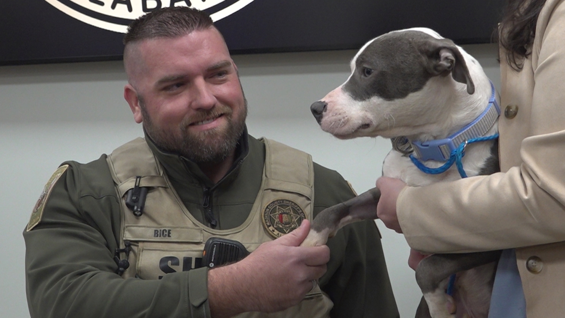 The reunion of a dog and his hero | rocketcitynow.com