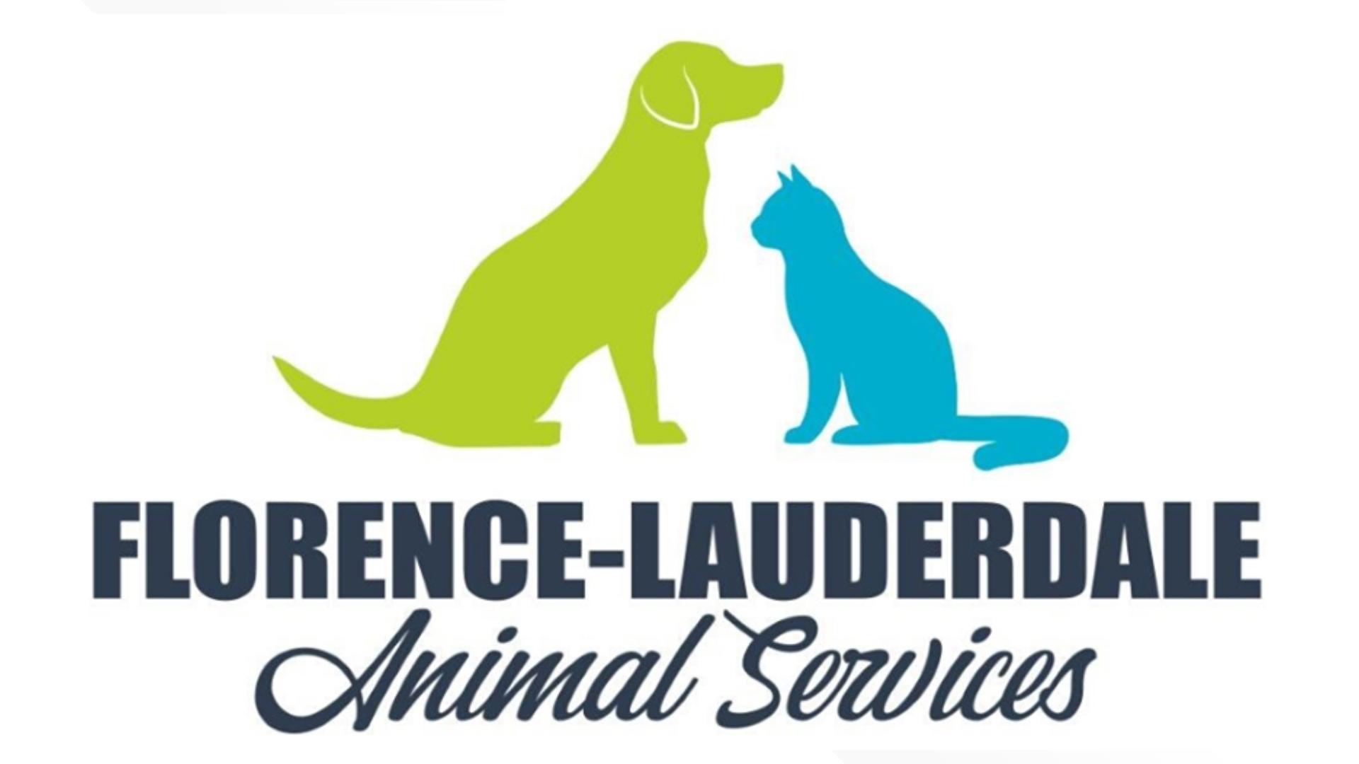 Florence mayor releases statement on animal shelter, offers aid to ...