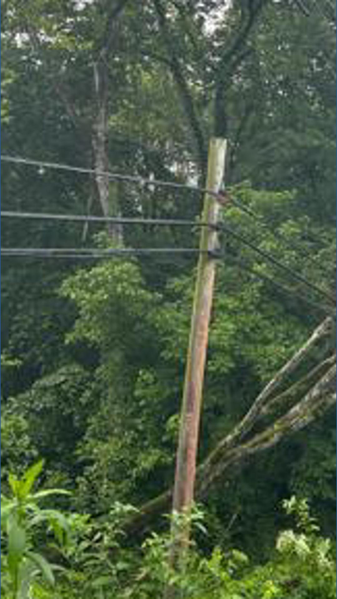 Power being restored across North Alabama; earlier storms downed trees ...