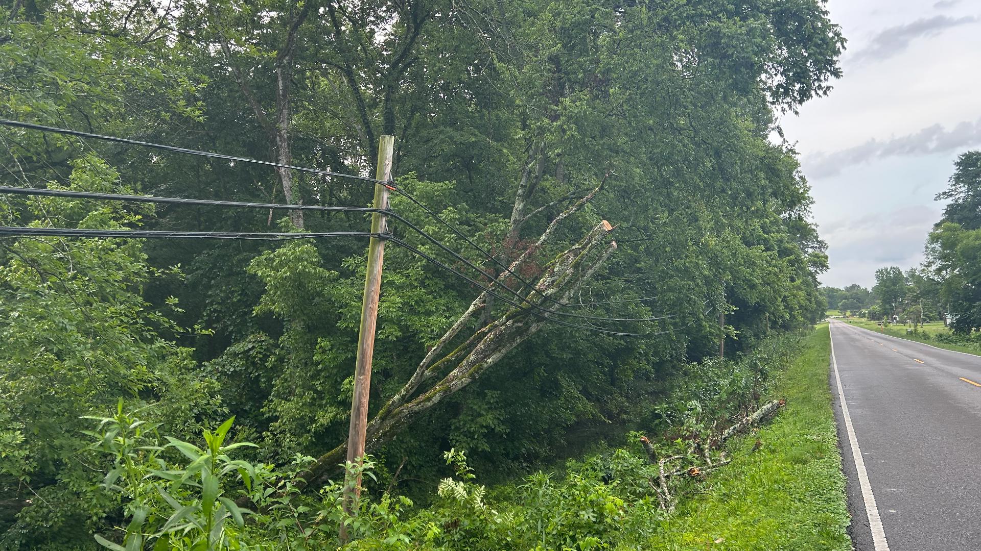 Power being restored across North Alabama; earlier storms downed trees ...