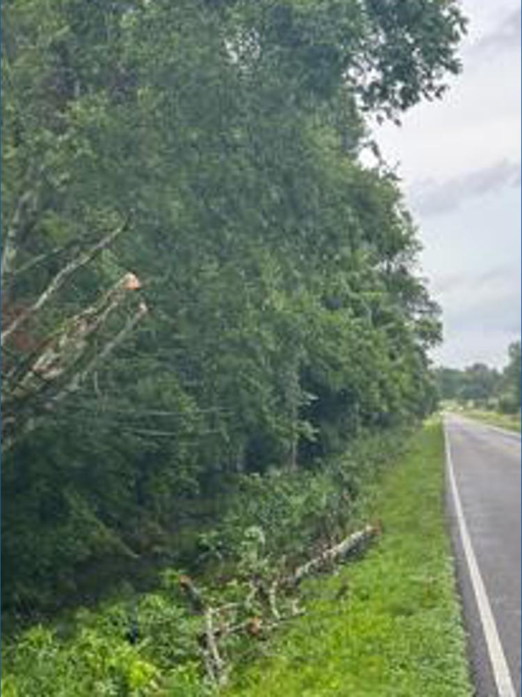 Power being restored across North Alabama; earlier storms downed trees ...