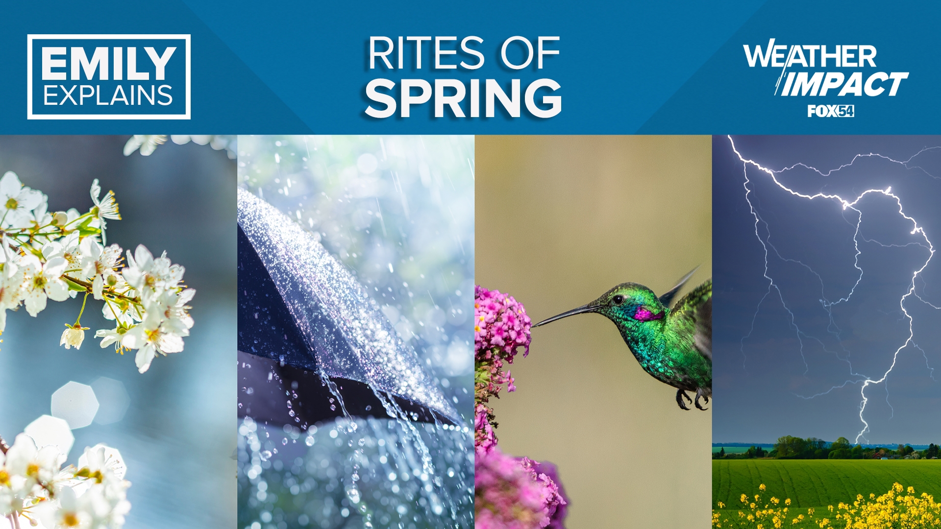 Emily Explains: Rites of Spring | rocketcitynow.com