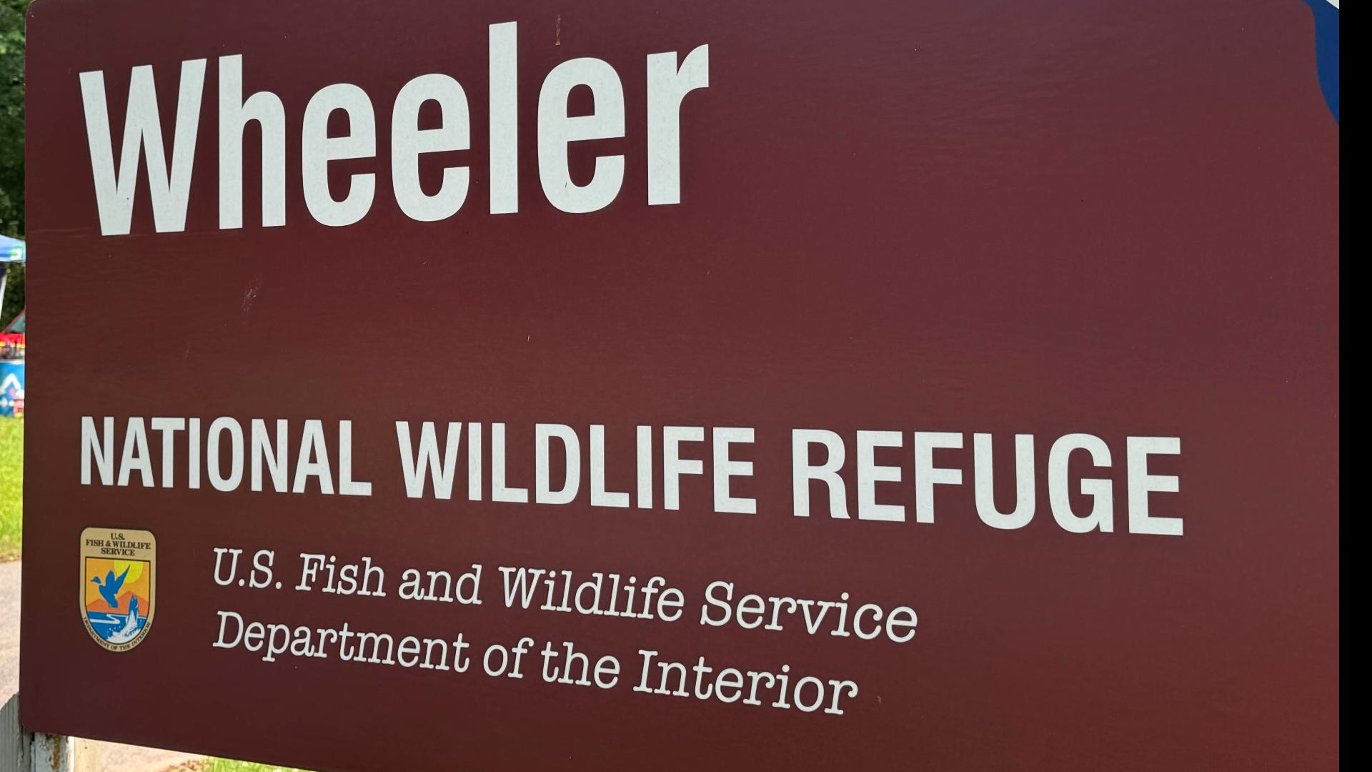 Wheeler NWR to open new 335-Acre waterfowl sanctuary this November ...
