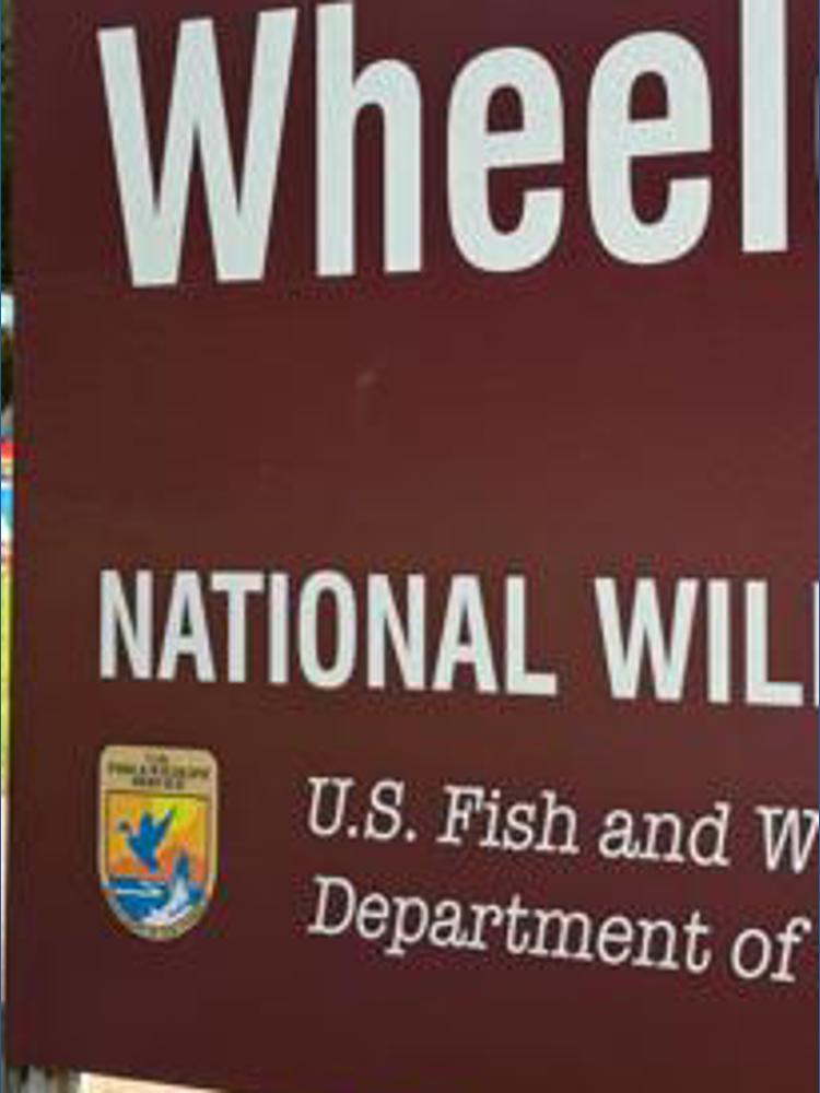 Wheeler NWR to open new 335-Acre waterfowl sanctuary this November ...