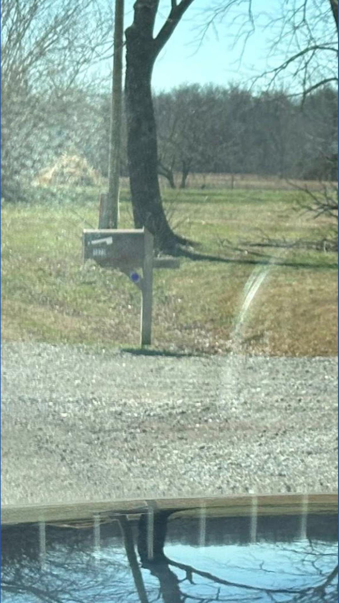 Storms bring hail damage to parts of North Alabama | rocketcitynow.com