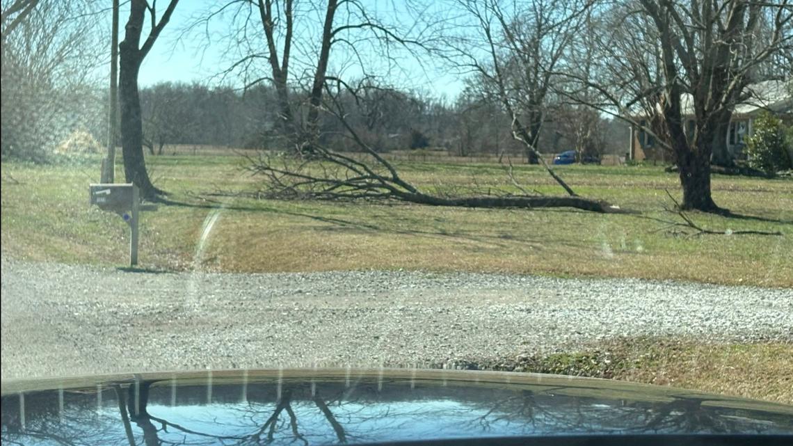 Storms bring hail damage to parts of North Alabama | rocketcitynow.com