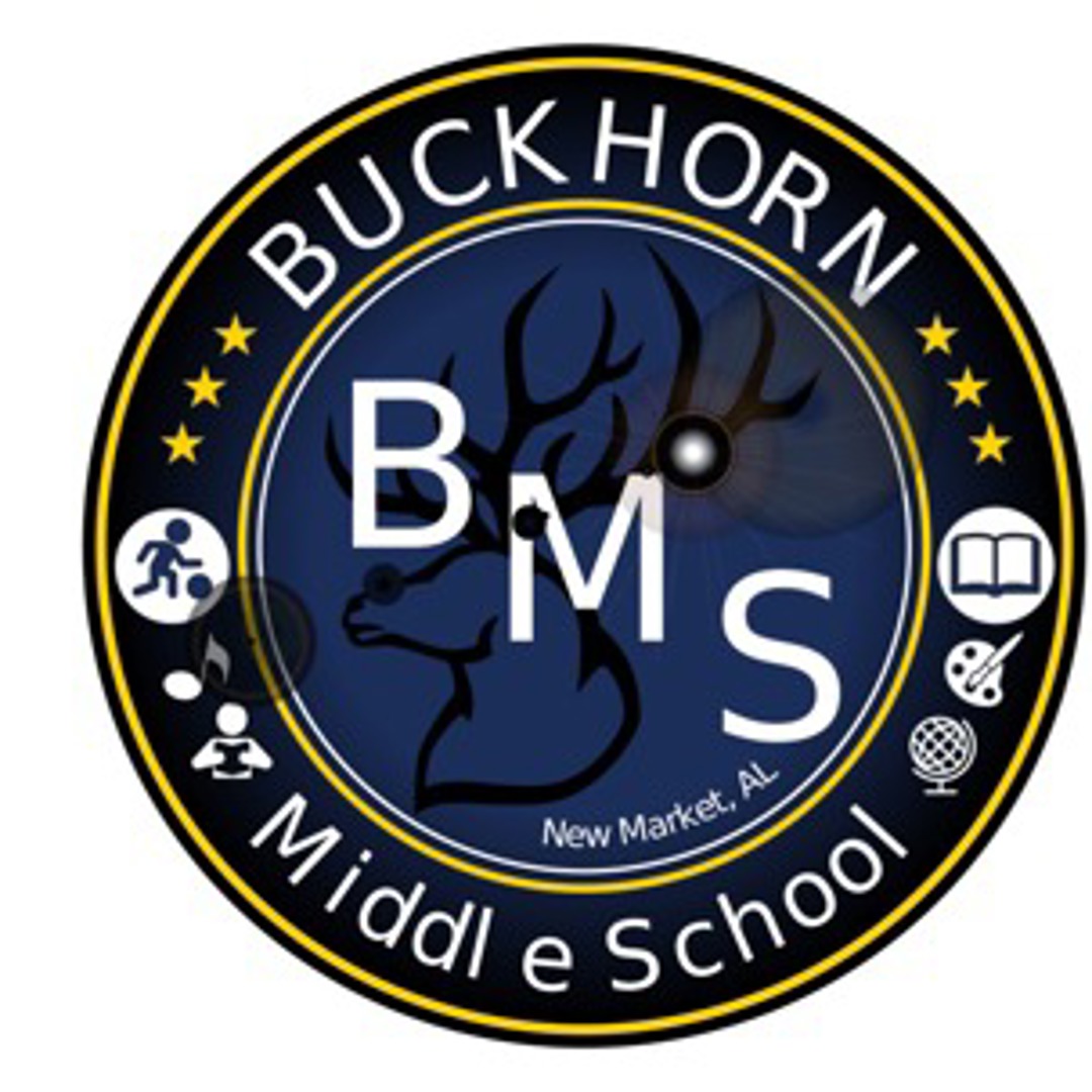 Student in custody after gun detected at Buckhorn Middle School's entry ...