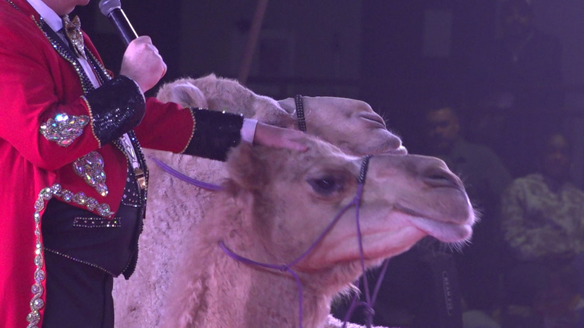 Loomis Bros. Circus defends animal care practices during Huntsville ...
