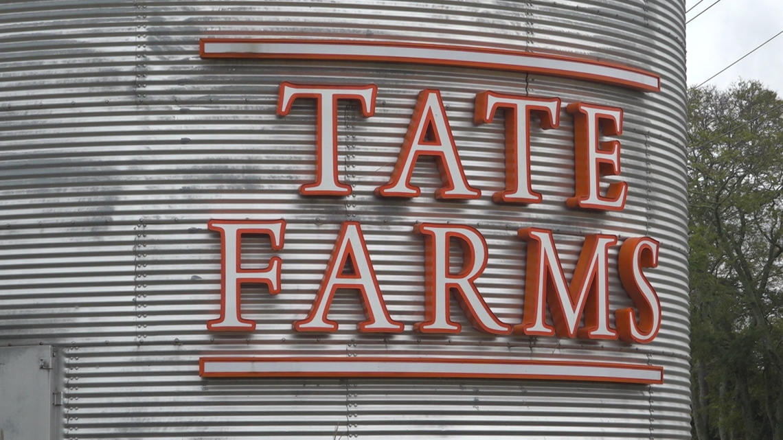 Tate Farms is the number five pumpkin patch in the nation | rocketcitynow.com