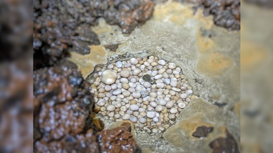 Huntsville Underground: Let's explore Shelta Cave | rocketcitynow.com