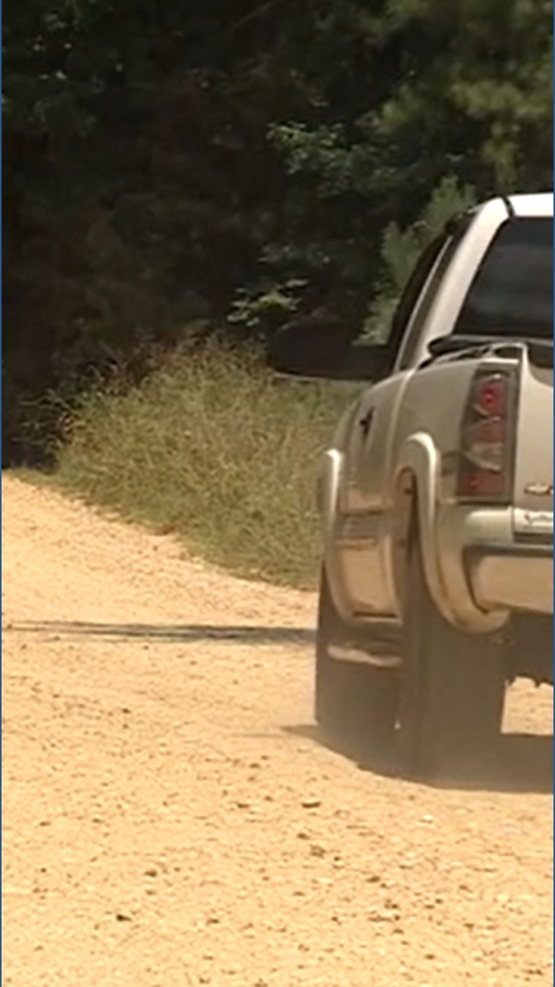 7-year-old dies in Chilton County dog attack | rocketcitynow.com