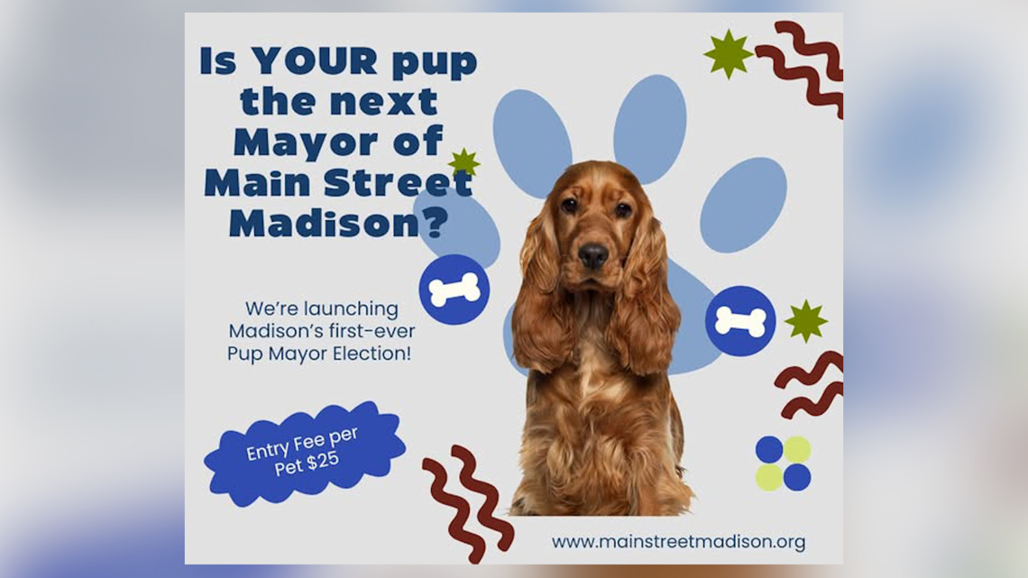 Main Street Madison hosts first Pup Mayor Election | rocketcitynow.com