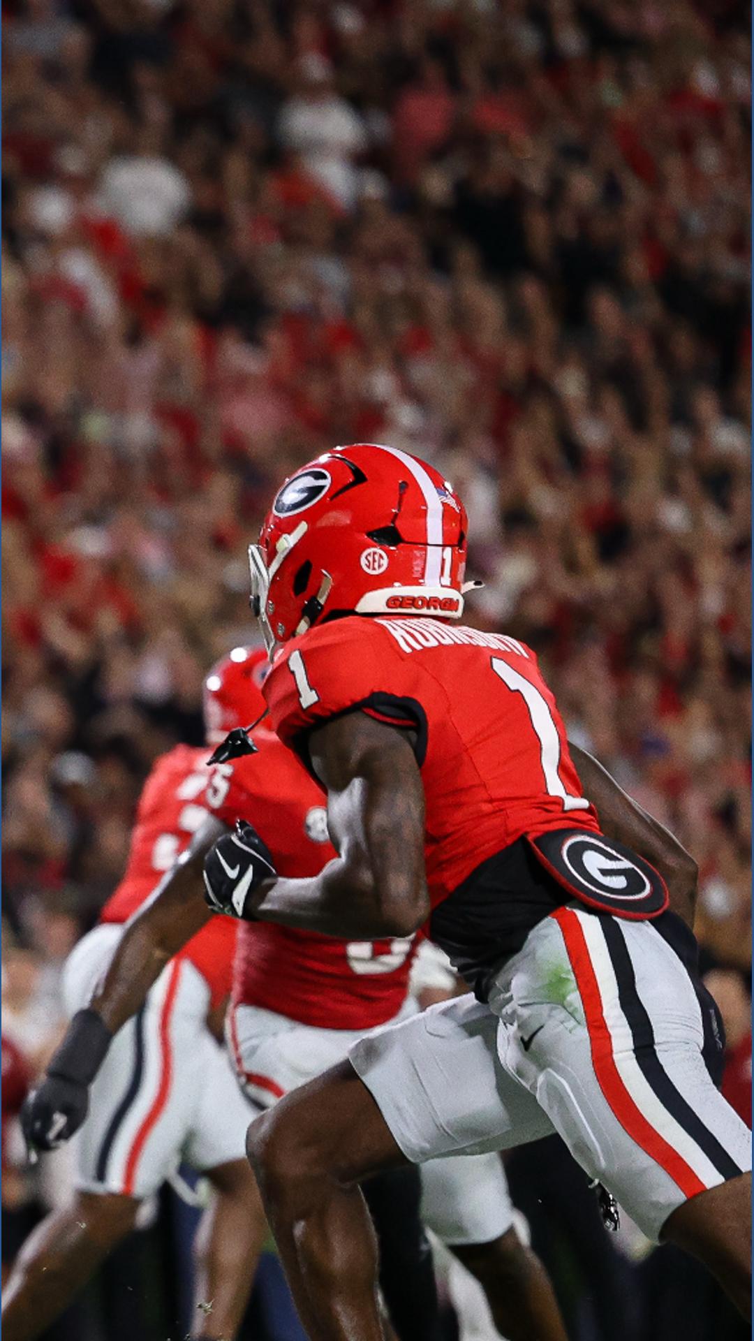 Alabama defeats Georgia 24-21 with Simpson's standout performance ...