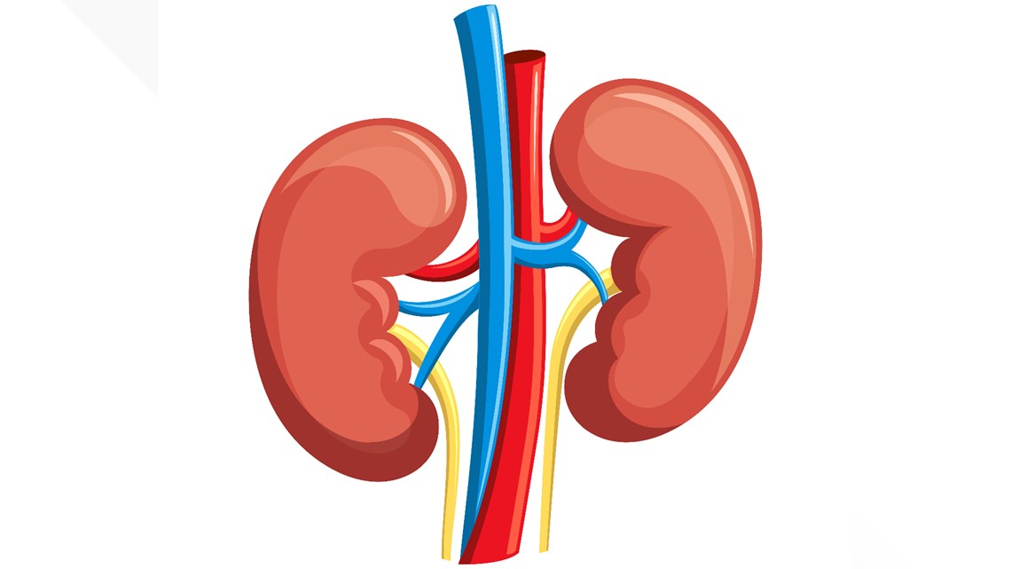 Chronic kidney disease | rocketcitynow.com