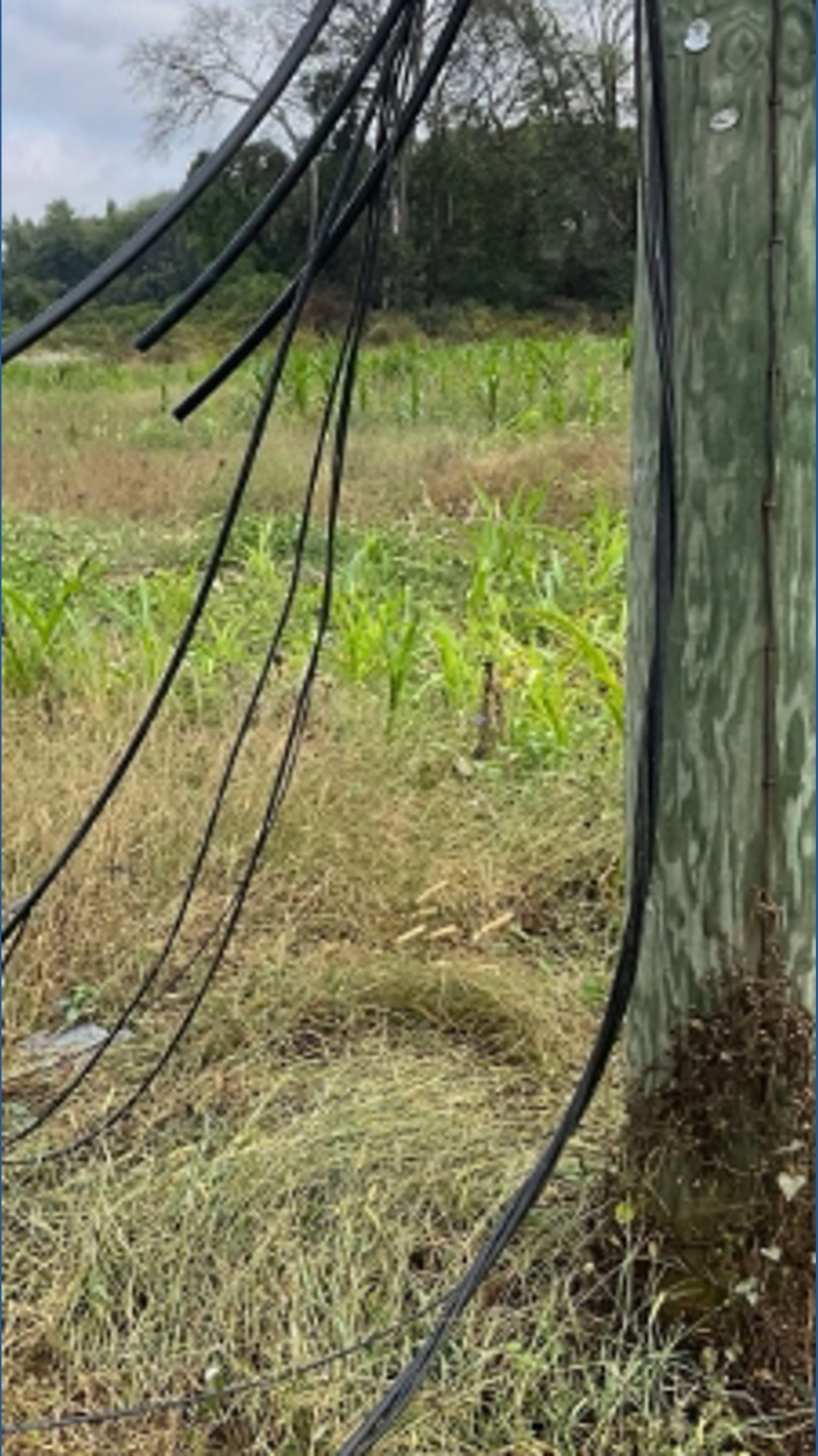 FlashFiber offers $1,000 for tips on who cut the Lawrence County fiber ...