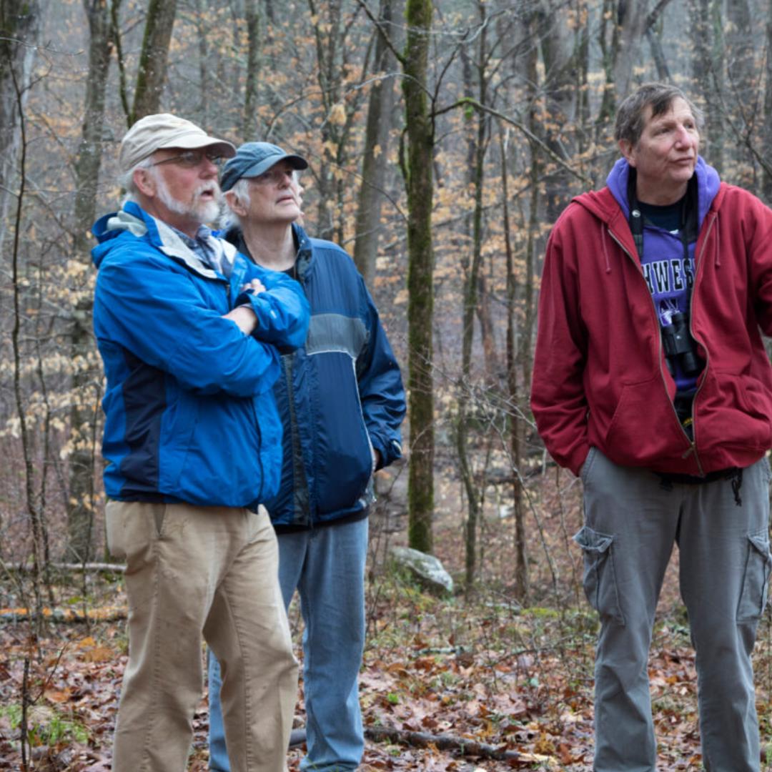 Bill Finch's Alabama forest quest aids future conservation ...