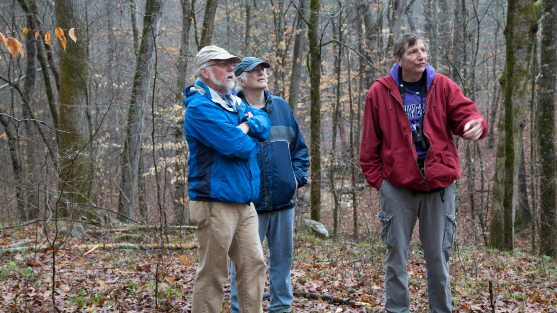 Bill Finch's Alabama forest quest aids future conservation ...
