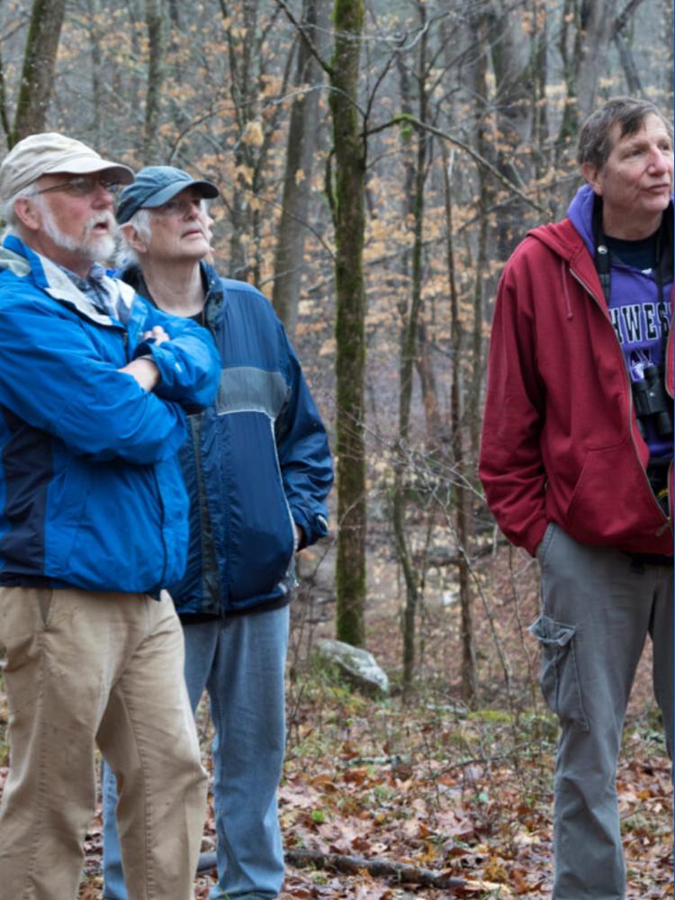 Bill Finch's Alabama forest quest aids future conservation ...
