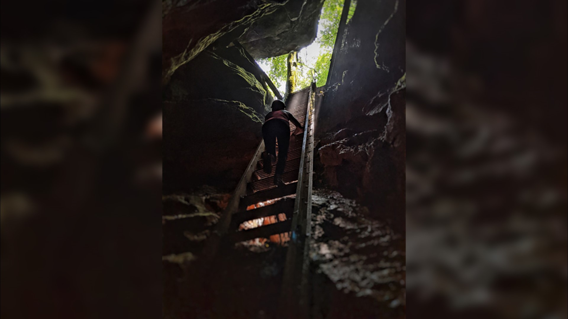 Huntsville Underground: Let's explore Shelta Cave | rocketcitynow.com