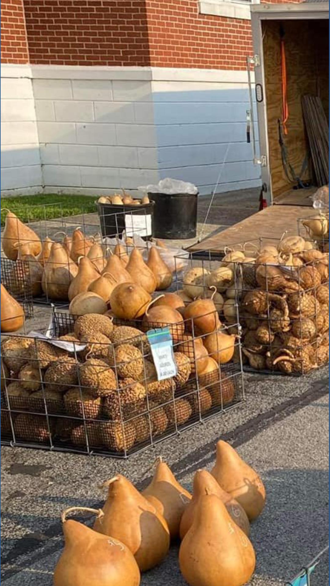 Alabama Gourd Show: Explore Unique Creations Oct 17-18 | rocketcitynow.com